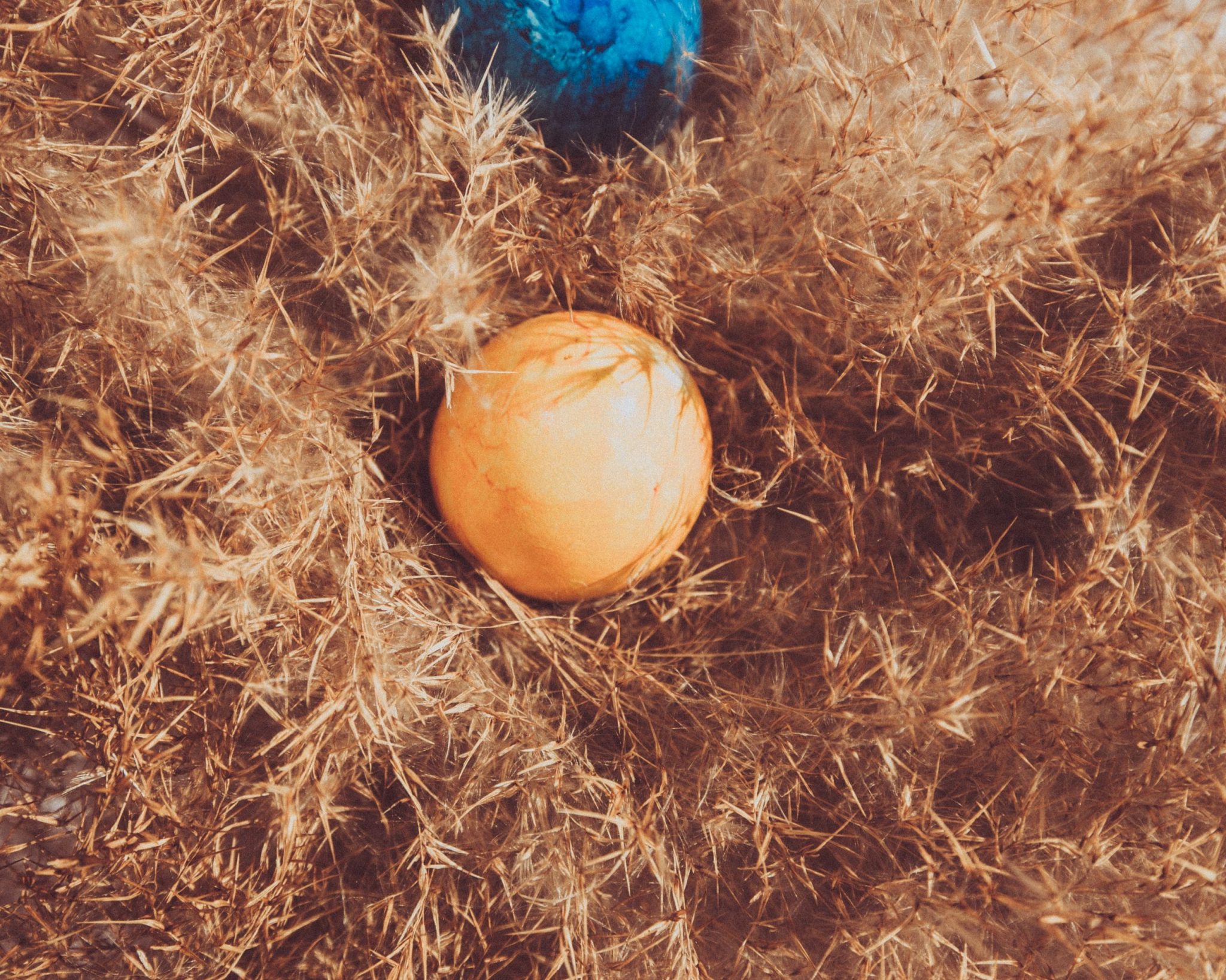 Double Yolk Eggs 101 - What Are They? | Cooked Best